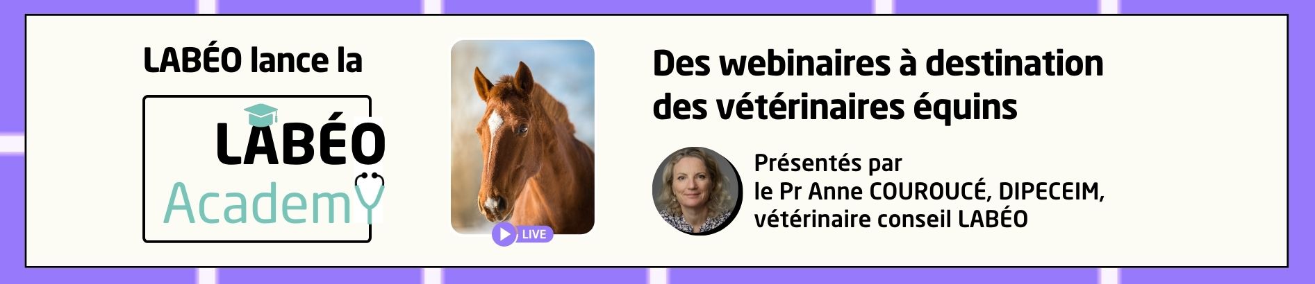 Filiation équine - Labéo